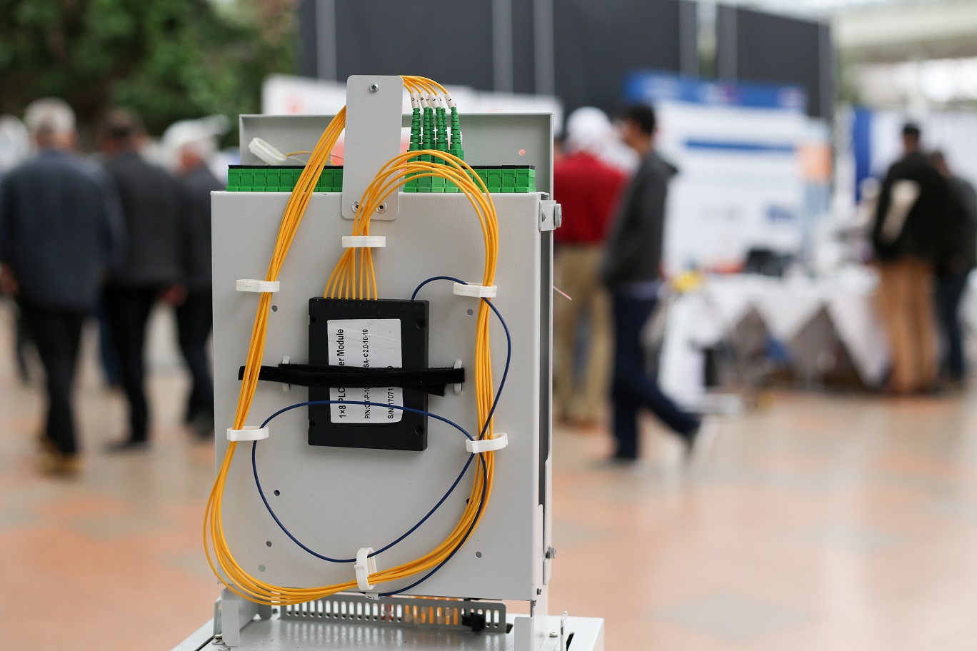 What we have to offer